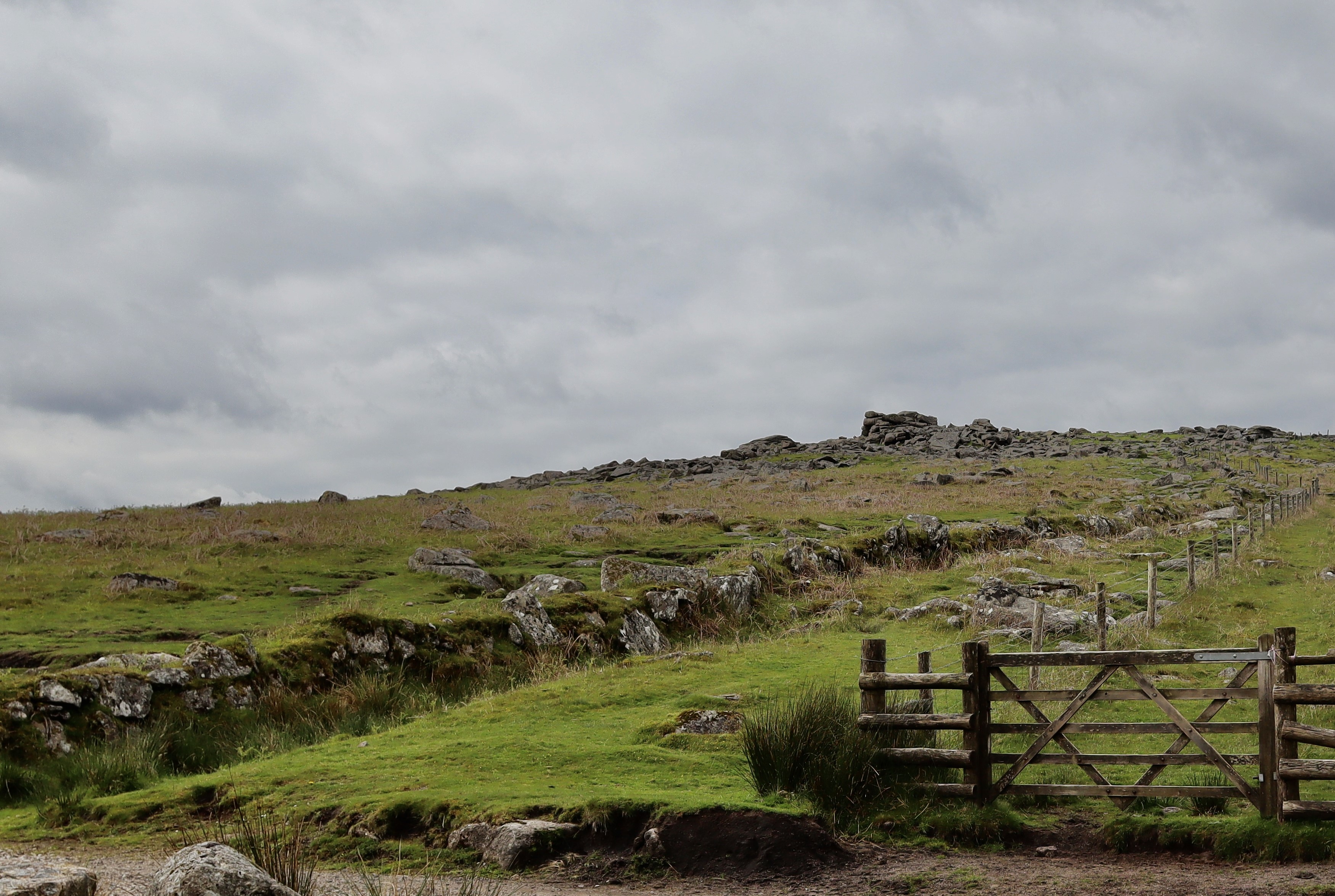 Out of the Gutter – Gutter Tor, Legis Tor and the River Plym – Moorland ...