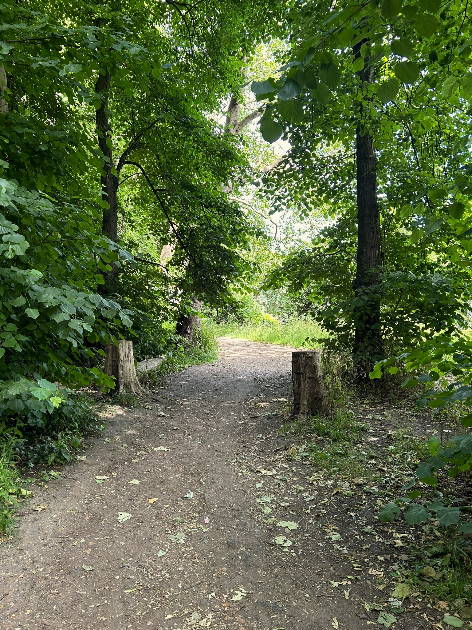 Urban Ramblings – The Parkland Walk – Moorland Ramblings